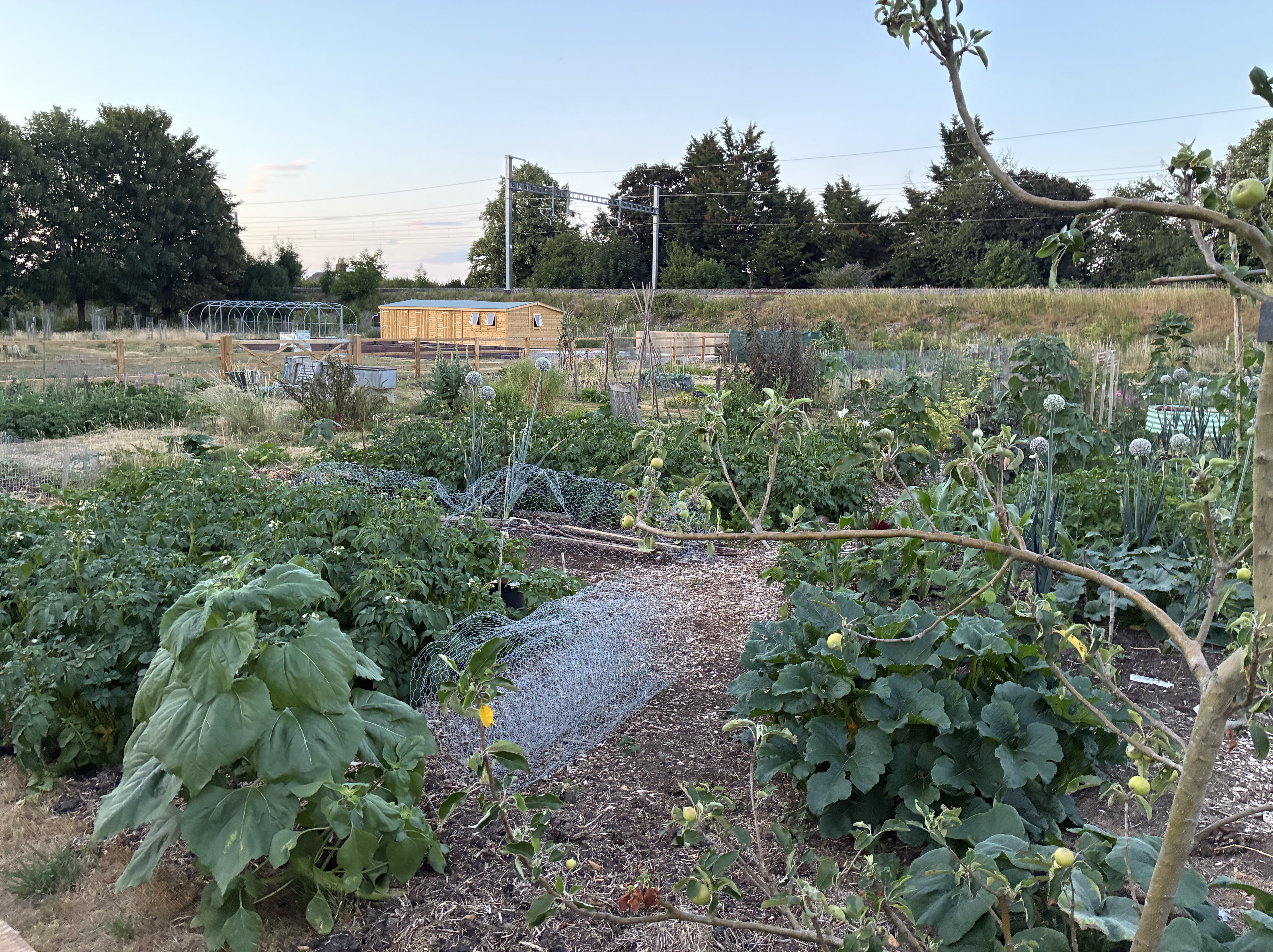 Grundon environmental grants in Oxfordshire top £100,000 - Grundon